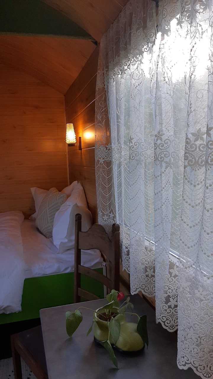 3. Casuta Din Lemn Pentru 2 Persoane - Județul Sălaj