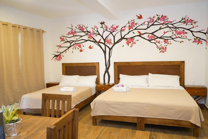 Homy Apt Near 2 Pier Fastwifi Ac - Cozumel