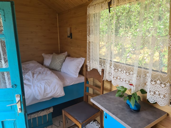 Cabana Din Lemn Cu Vedere Panoramica - Lacul Surduc