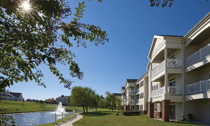 Governor's Green 1 Br/ Kitchen - Williamsburg, VA