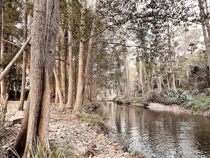 Lifestyle Farm & Retreat Property - Springbrook