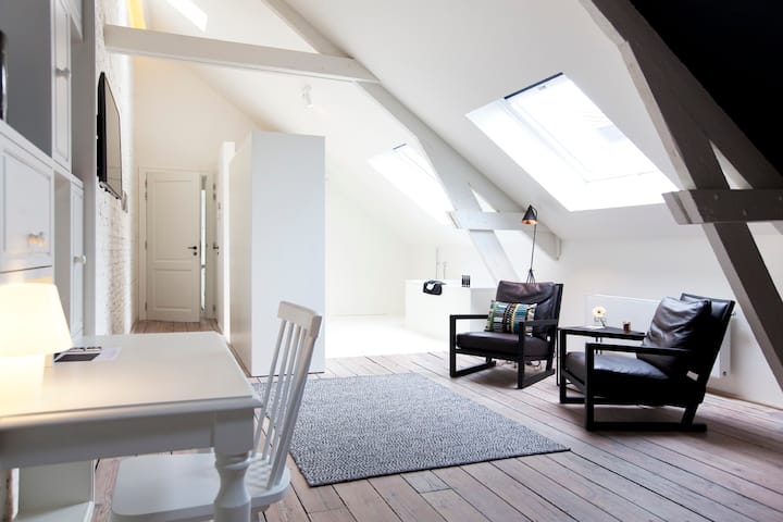 Maison Nationale Loft Suite - Antwerpen