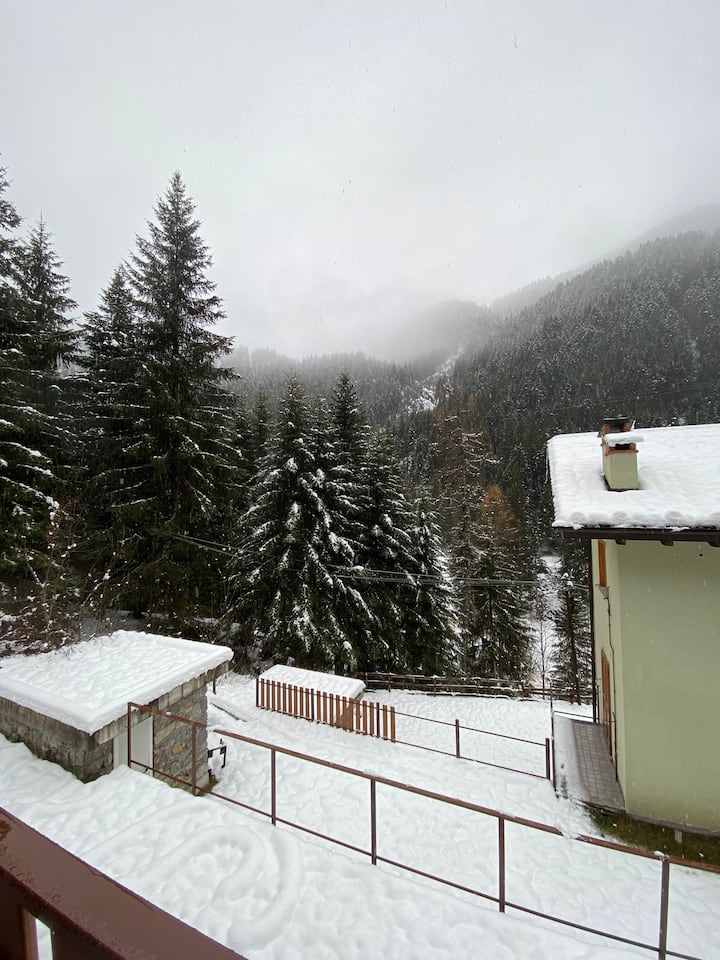 Residenza Piana Di Fenile - App. 5 - Piazzatorre
