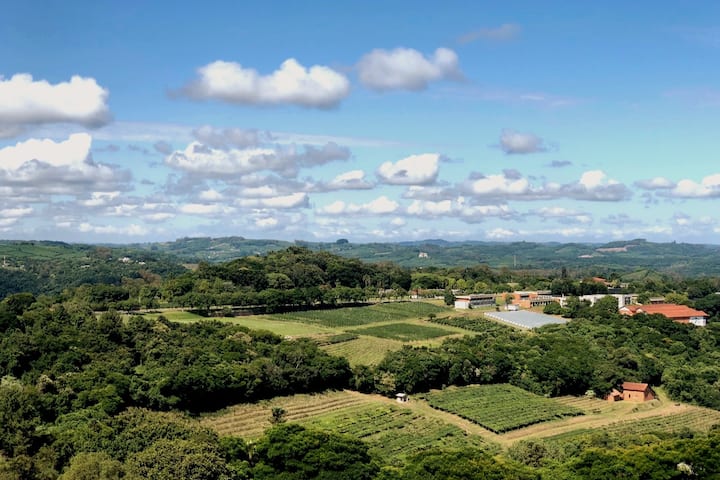 Apto Vista Vale Vinhedos C/ar E Garagem - Bento Gonçalves