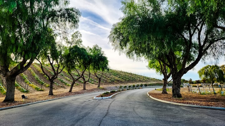 Paso Robles Vineyard Stay - San Miguel, CA