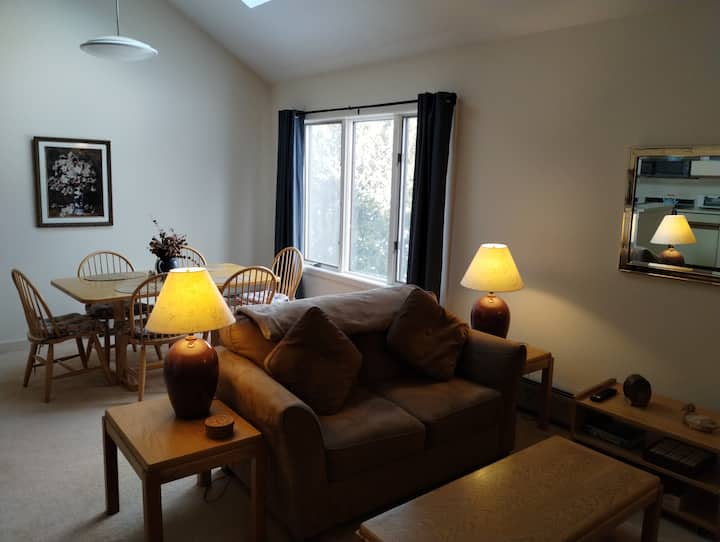 Mt Snow 2 Bdrm Condo - Free Ski Shuttle - Dover, VT