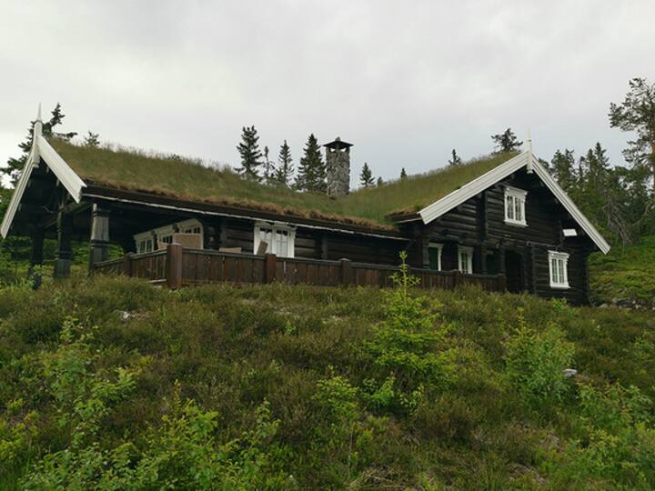 Hytte I Idylliske Birkenåsen. - Rena