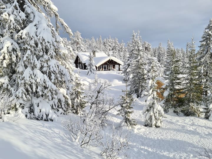Hytte I Idylliske Birkenåsen. - Norway