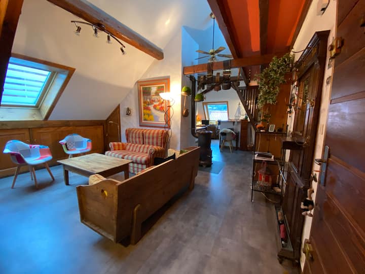 Appartement Atypique-sallanches - Sallanches