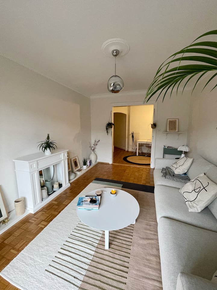 Cosy Appartement - Lausanne
