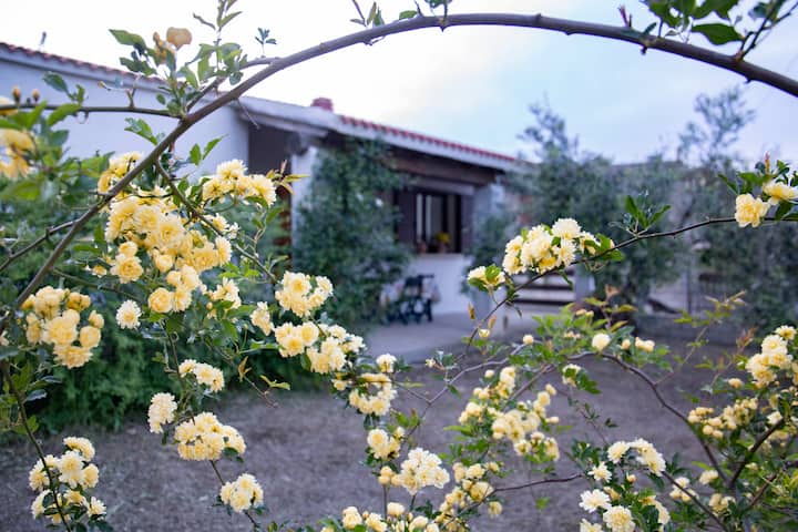 Casa Terry - Sardinia