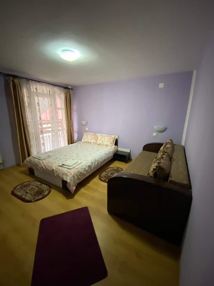 Pensiune Albac Camera Privata 4 - Albac