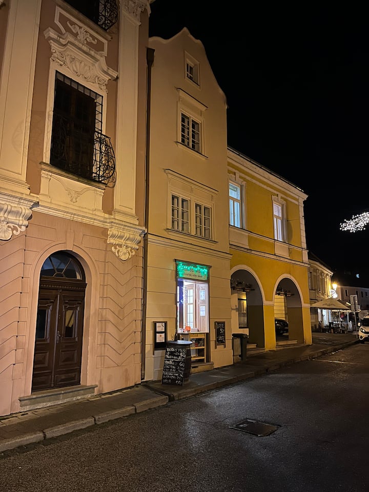 Dům Pod Věží, Náměstí Mikulov - República Checa