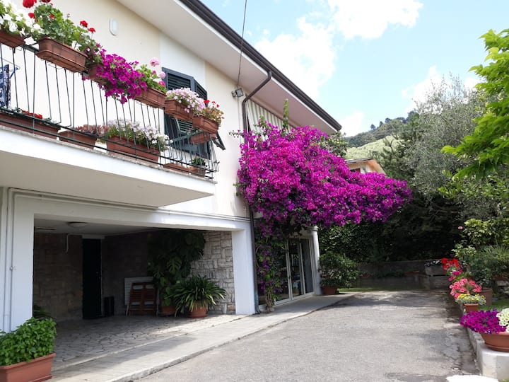 La Casa Del Maestro - Pietrasanta