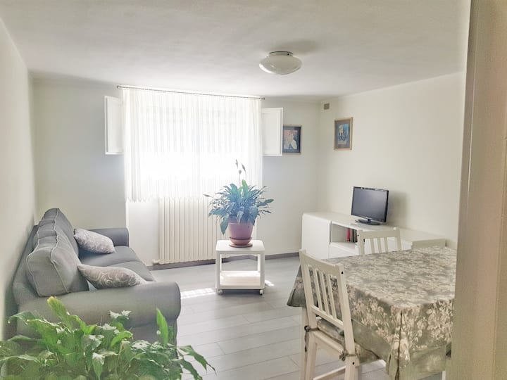 La Casa Del Maestro - Pietrasanta