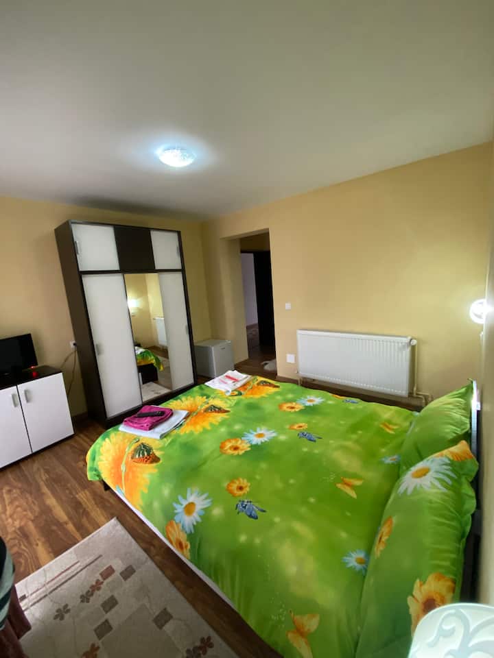 Camera Privata In Pensiune Cam 7 - Albac