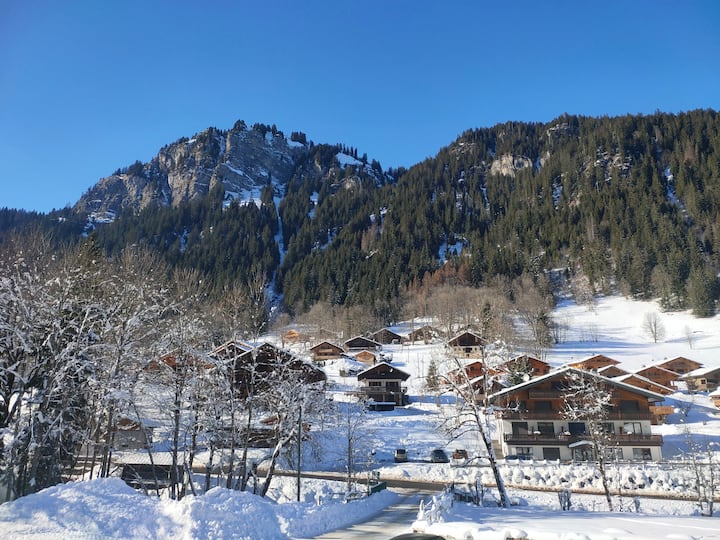 Studio Châtel/linga Proche Pistes - La Chapelle-d'Abondance