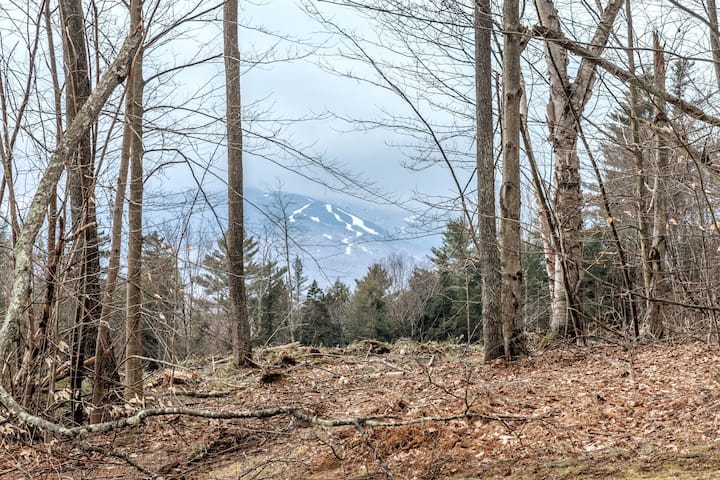 Mountain Adventure Awaits: Cozy Stowe Condo - Stowe, VT