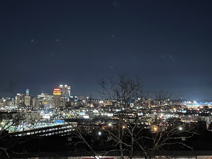 Magic City Overlook W/ View #17! - Birmingham, AL