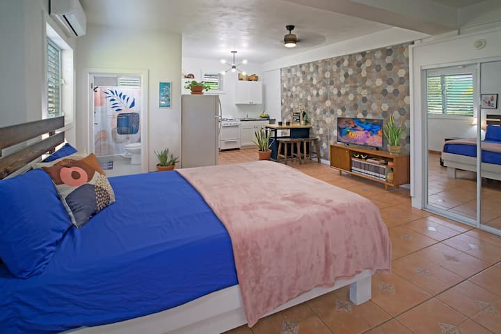 The Parrot - A Frenchtown Studio Oasis - Saint Thomas