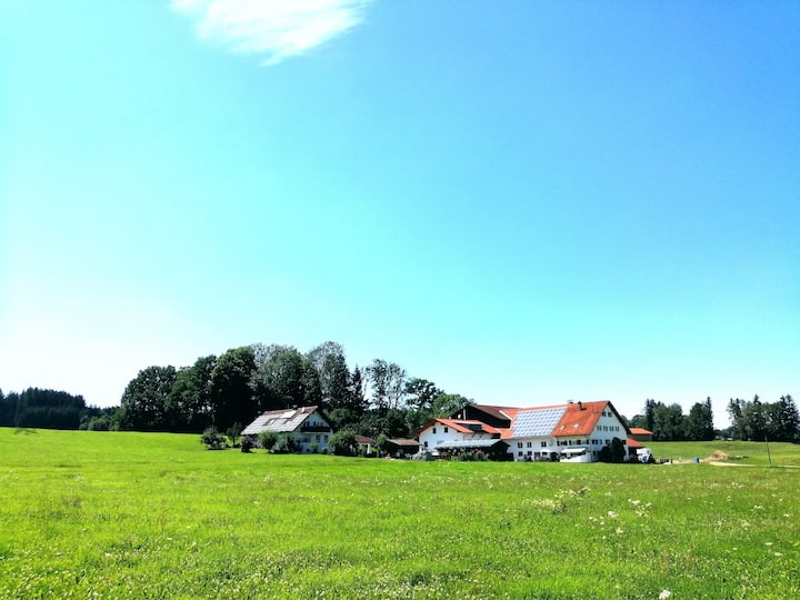 Urlaub Auf Dem Sommer Bauernhof - Kempten