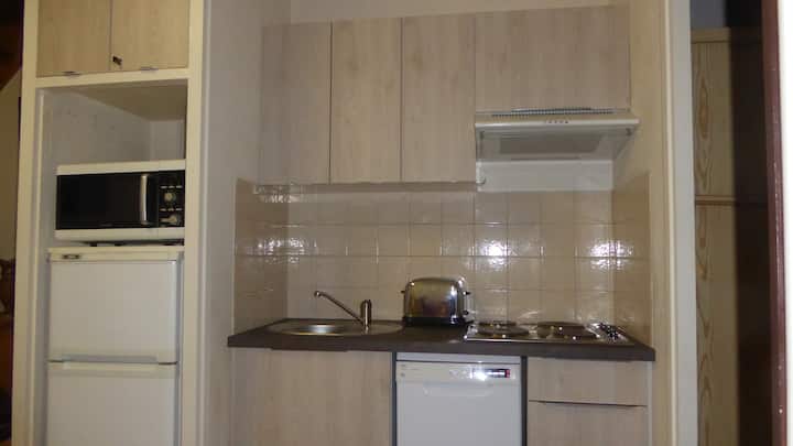 Appartement Duplex 54 M2. - Aragnouet