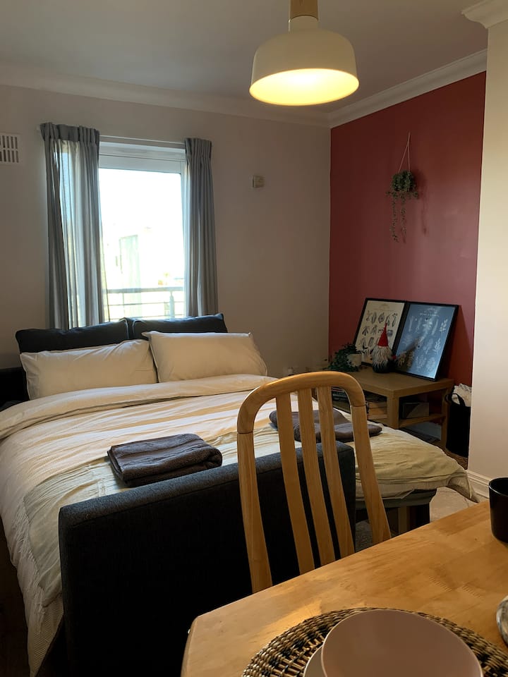 Cosy Apartment In Dublin City - Dublin, Ireland