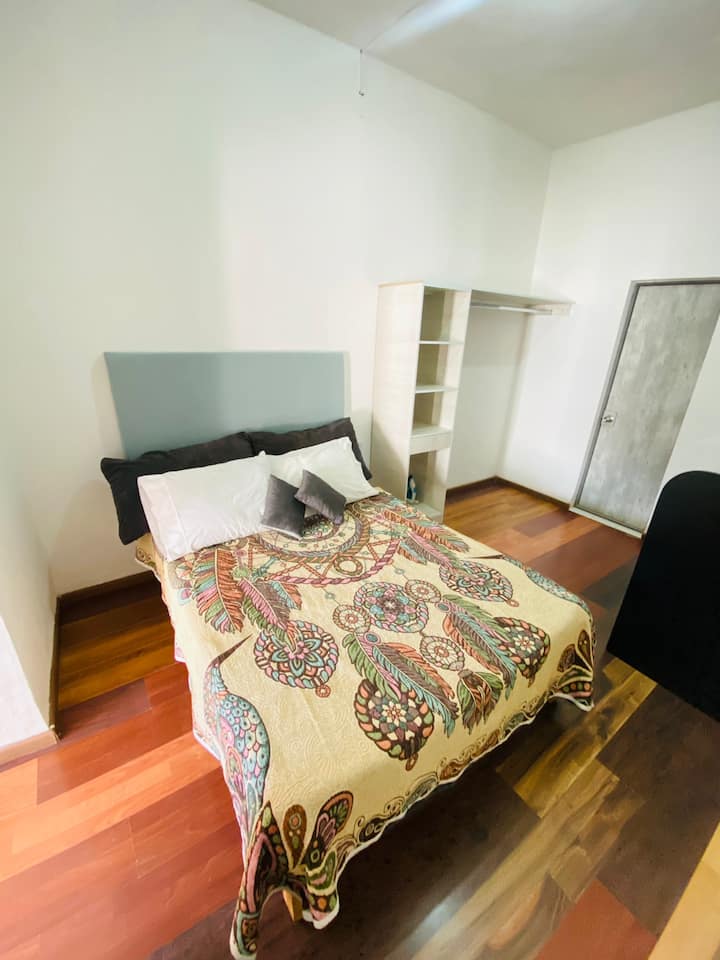 Zentrica Suite 11 - Celaya