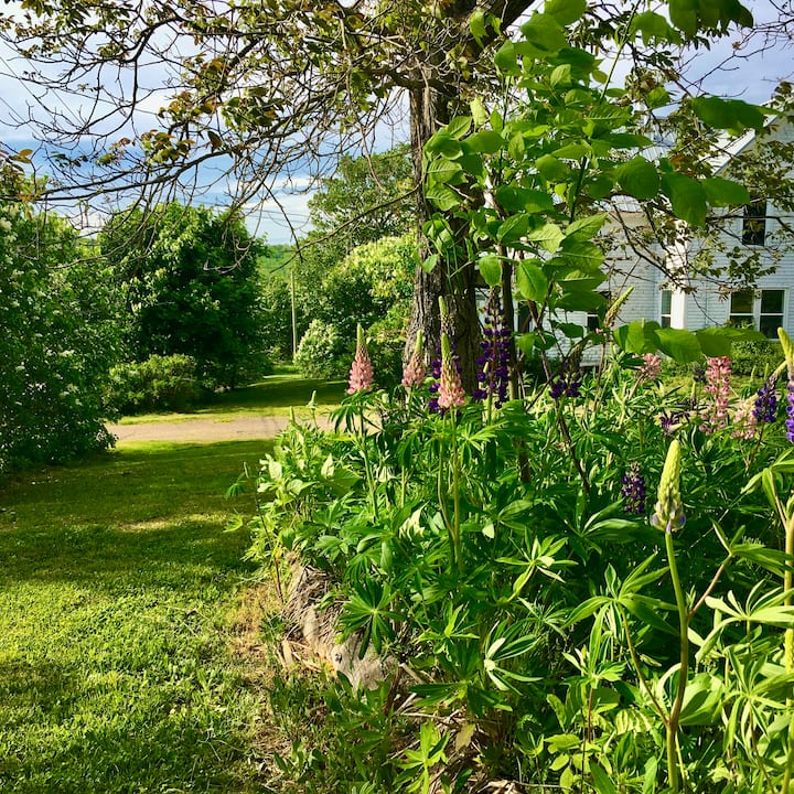 Gaspereau Valley Farmhouse - Wolfville
