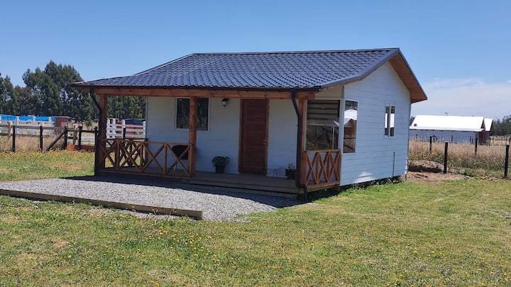 Cabaña Vive Octay - Puerto Octay