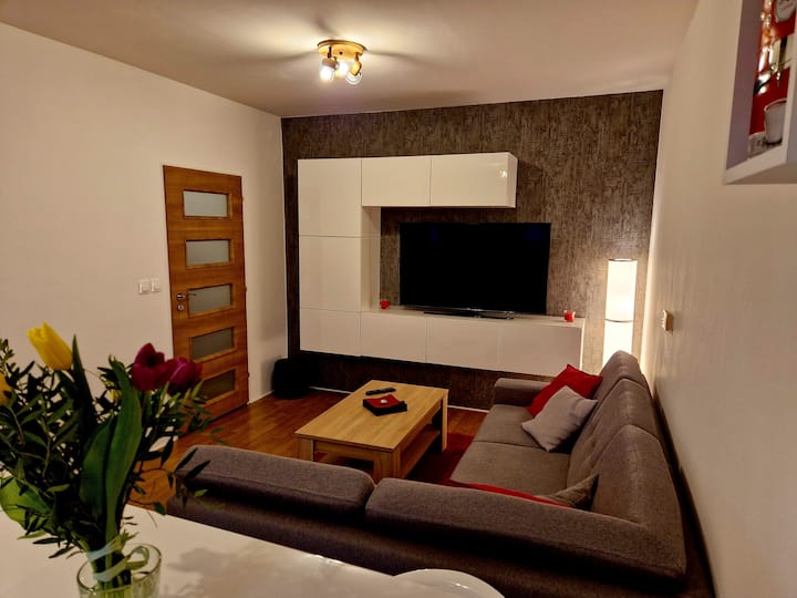 Slnečný Byt V Blízkosti Centra (Free Parking) - Trenčín