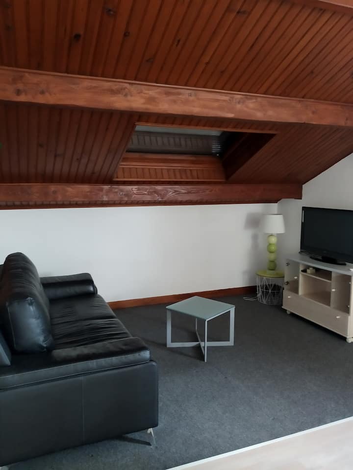 Location Saisonnière - Aix-les-Bains