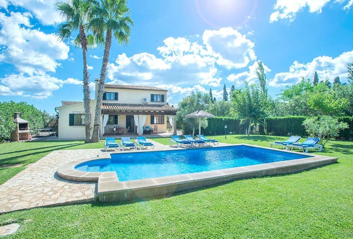 "New" Ximo -  Pollensa, Mallorca - Port de Pollença