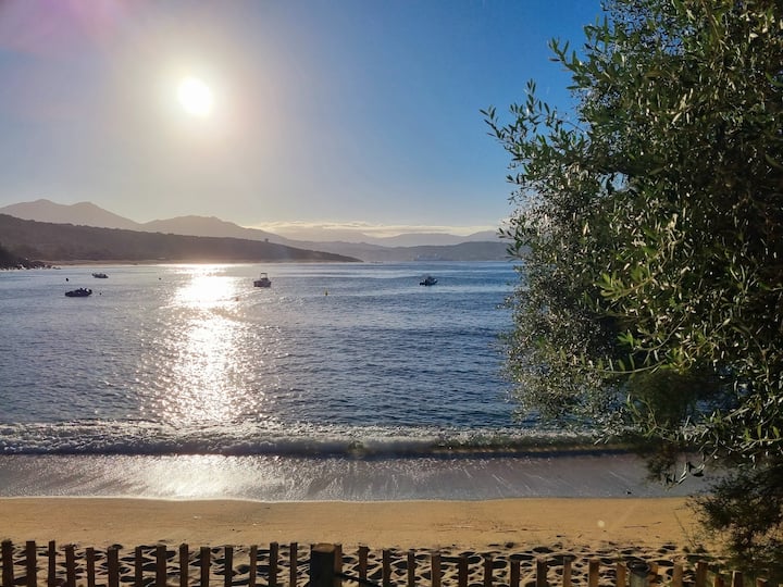 Chalet Bord De Mer - Olmeto