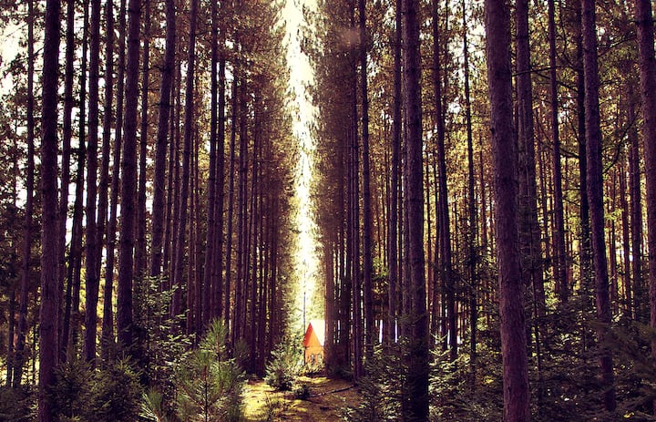 Domaine Summum's Talia Suite - Mont-Tremblant