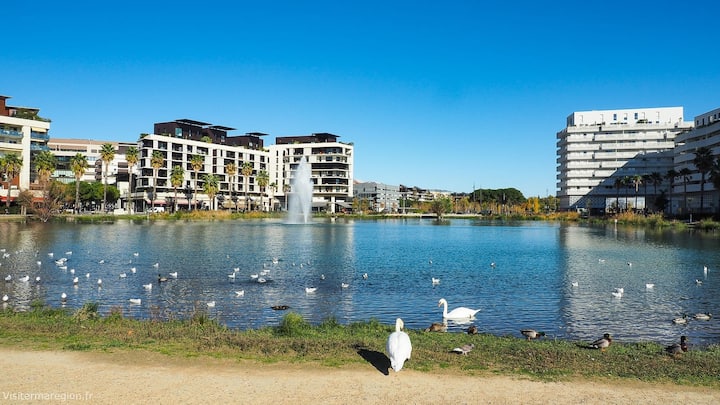 Appartement Port Marianne Jacques Coeur - Montpellier