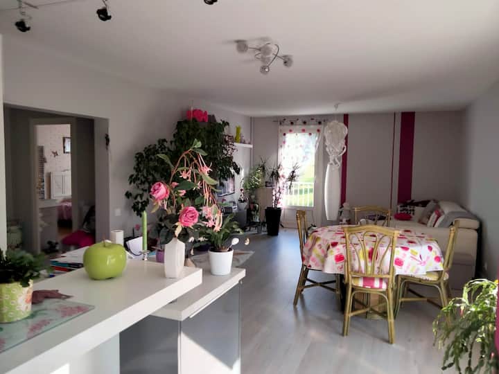 Appart Lumineux Avec Balcon - Clermont-Ferrand