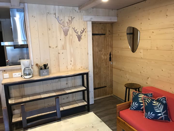 Appartement Lumineux Proche Ski Et Randonnéés - La Bresse