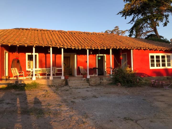 Casa Colonial En Pichilemu - Pichilemu