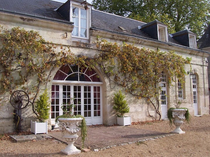 Gîte De Groupe Du Château De La Mézière - Montoire-sur-le-Loir