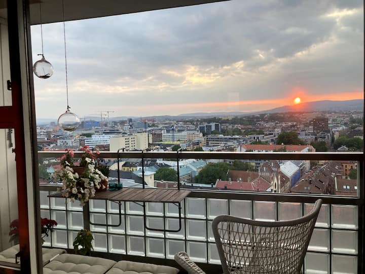 Leilighet Midt I Byen Med Fantastisk Utsikt - Oslo