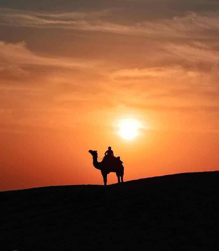 Bollywood Camel Safari (Full Day) - ジャイサルメール