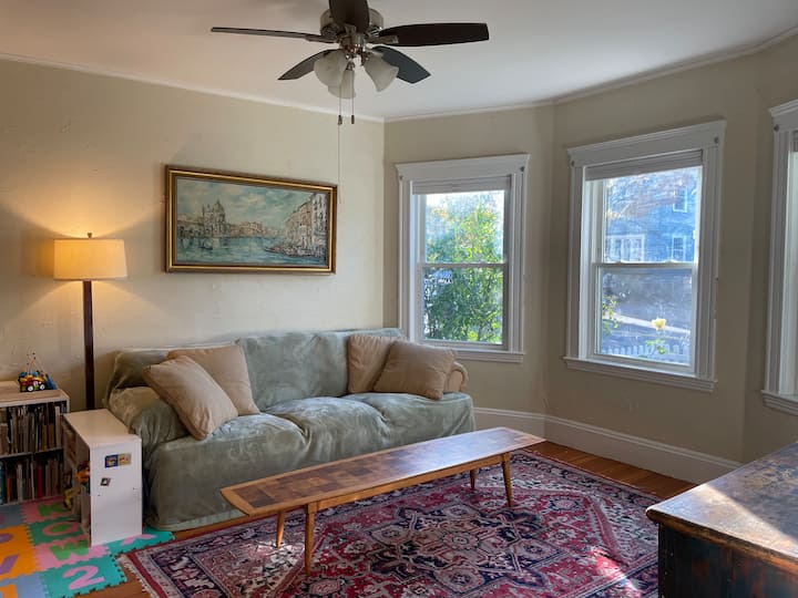 Apt In Superb Cambridge Location - Cambridge