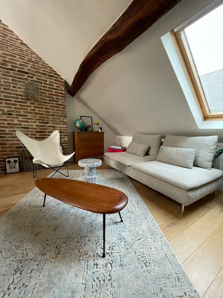 Joli Duplex • Terrasse • Centre Ancien - Olivet