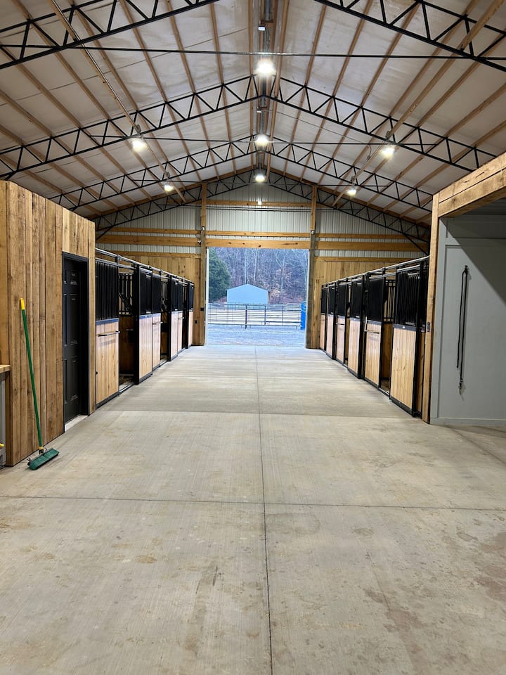 Overnight For Horses , Knoxville Tn Area - 布萊恩