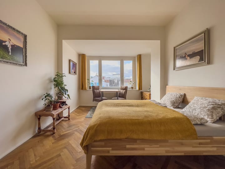 Concept Central Apartment - Brno