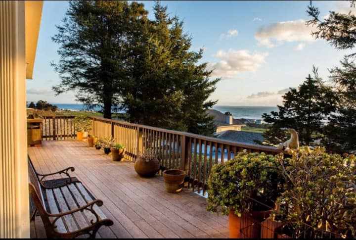 Whitewater Ocean Views, Easy Walk To Beach - Shelter Cove, CA