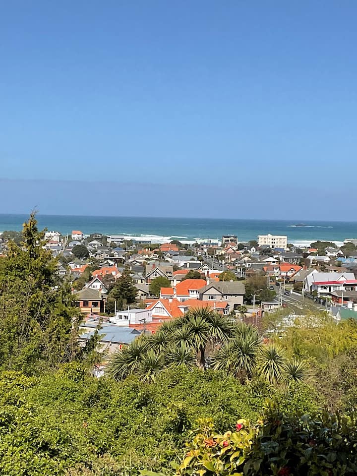 St Clair - Sun And Views - Dunedin
