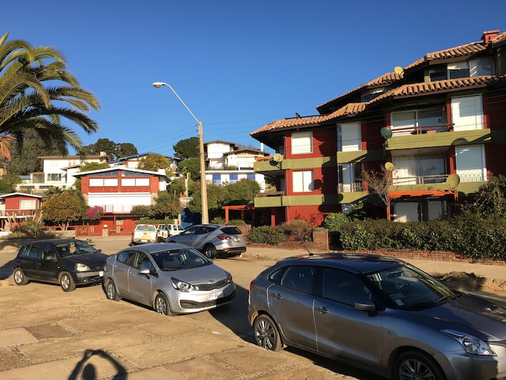 Algarrobo Frente Al Mar Con Jardín Y Parrilla Full - Algarrobo