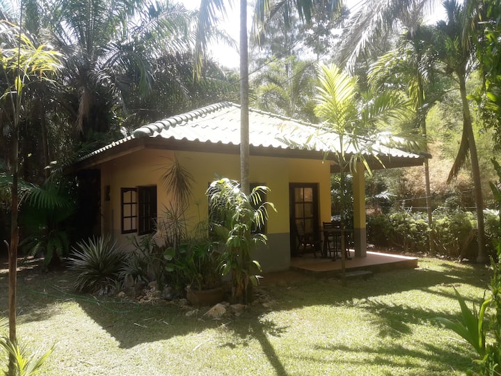 2 Room Bungalow In Nice Garden - Kata Beach